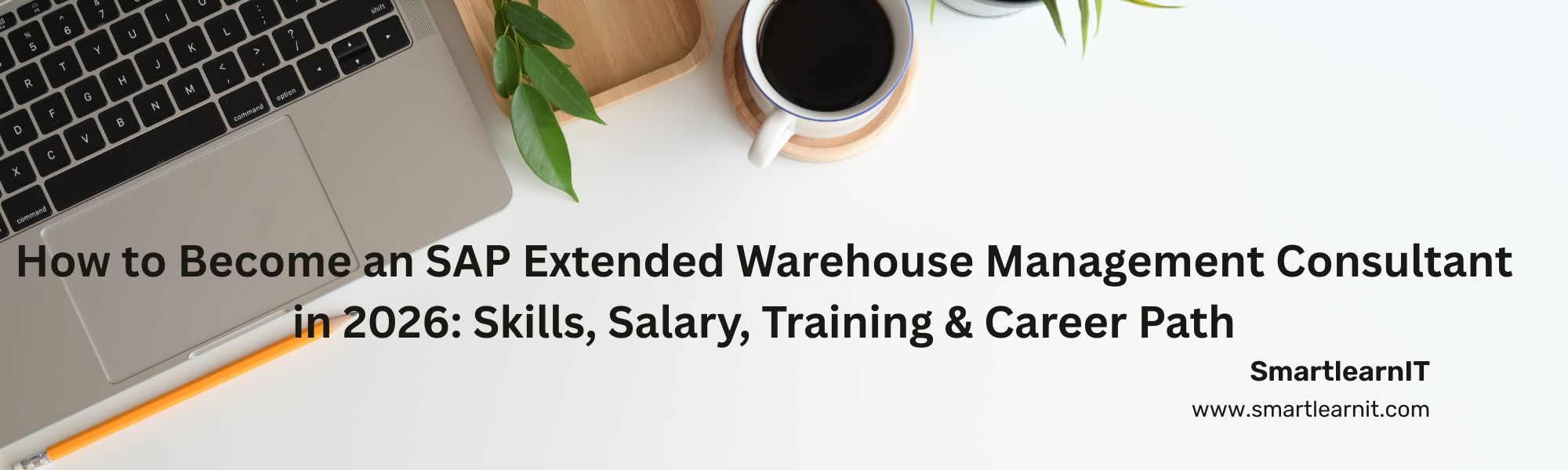 How to Become an SAP Extended Warehouse Management Consultant in 2026 ...